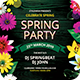 Spring Party Flyer, Print Templates | GraphicRiver