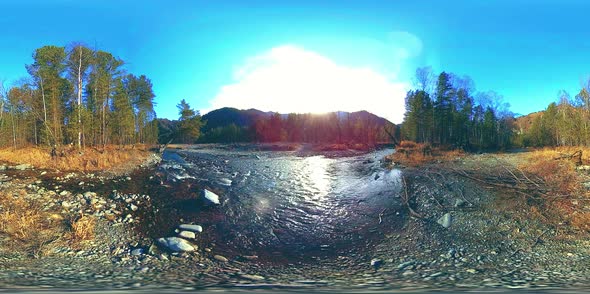 360 VR Virtual Reality of a Wild Mountains Pine Forest and River Flows ...