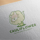 Cauliflower Logo Design, Logo Templates | GraphicRiver