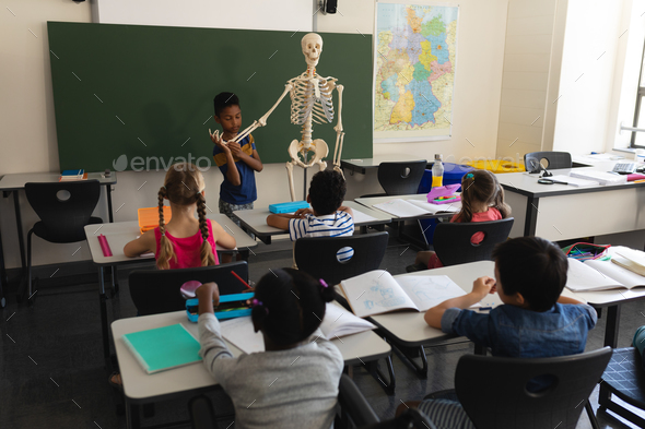Rear view of schoolboy explaining human skeleton model in classroom of ...
