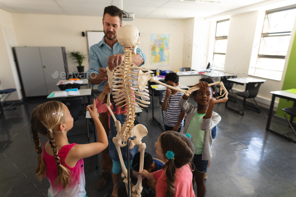 Male teacher explaining skeleton model in classroom of elementary ...