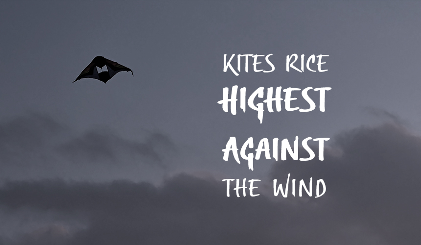 Wind Handwritten Font, Fonts | GraphicRiver