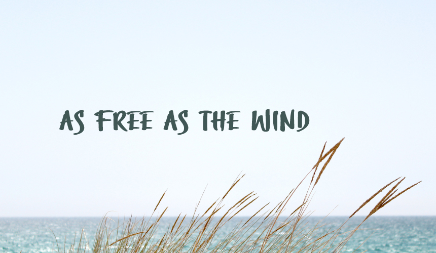 Wind Handwritten Font, Fonts | GraphicRiver