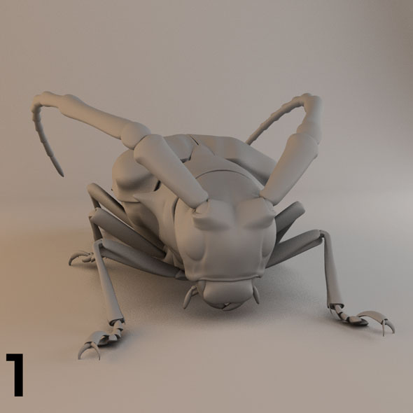 Insects and Beetles Pack by alpess | 3DOcean