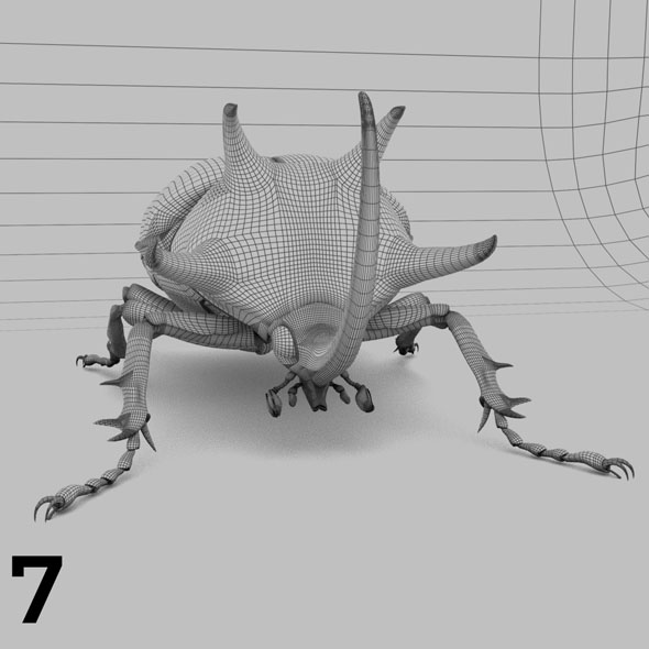 Insects and Beetles Pack by alpess | 3DOcean