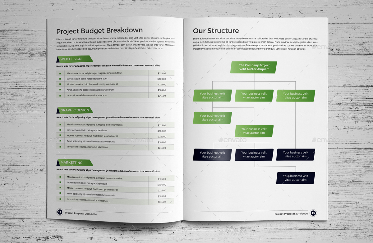 Project Proposal InDesign Template v7, Print Templates | GraphicRiver