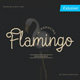Flamingo - Solid Monoline Script, Fonts | GraphicRiver