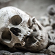 Human Death Skeleton Bones and Skull Stock Photo by okanakdeniz | PhotoDune