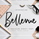 Bellevue // A Traveler Script Font, Fonts | GraphicRiver