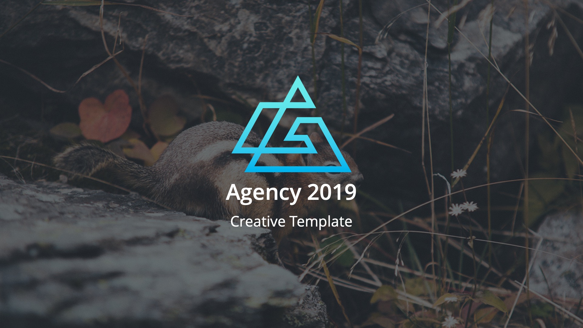 Agency Creative Powerpoint Template, Presentation Templates | GraphicRiver