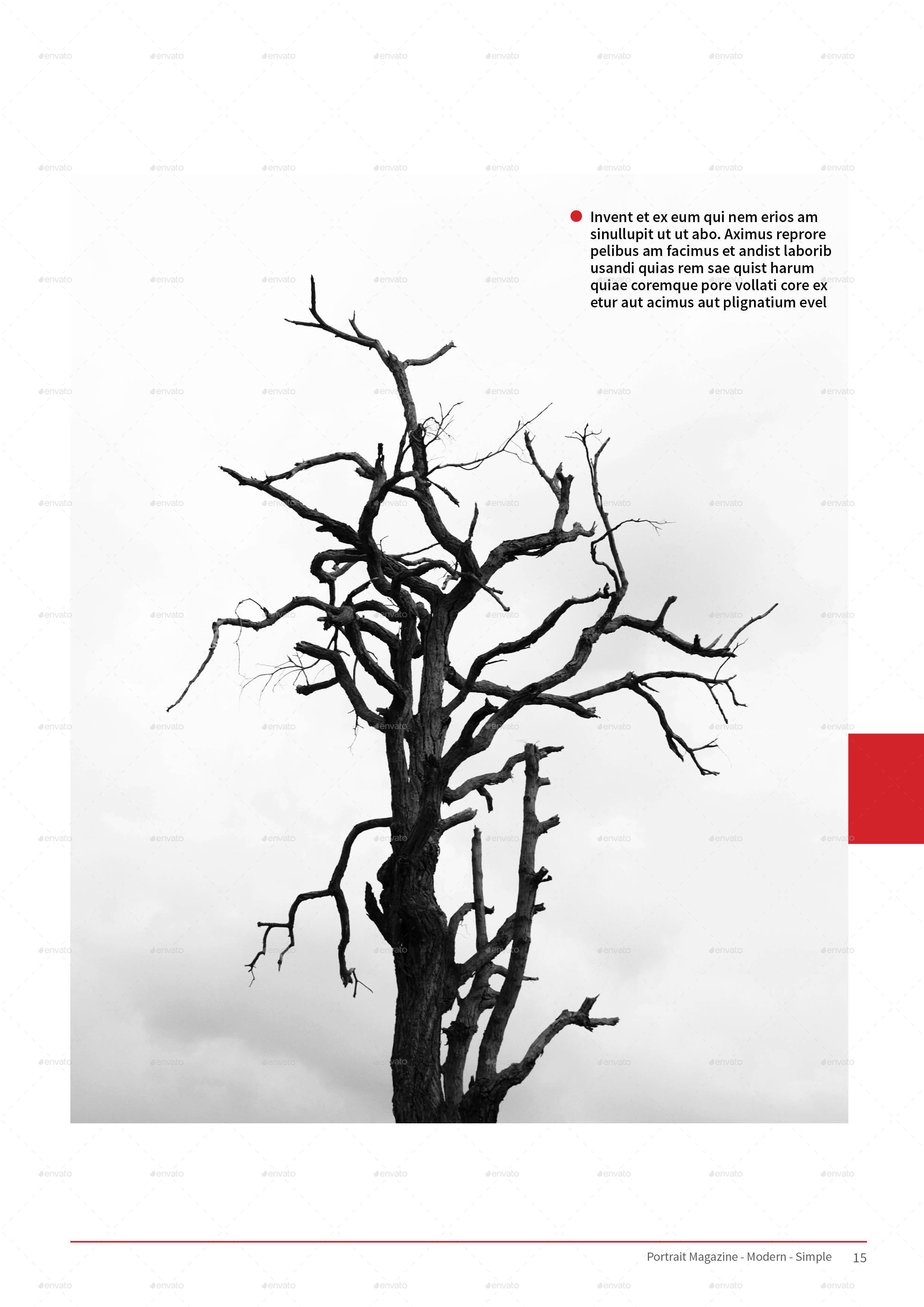 Question Magazine Template, Print Templates | GraphicRiver