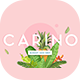 Carino - A Modern Elegant Typeface, Fonts | GraphicRiver