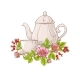 Wild Rose Tea Illustration on White Background, Vectors | GraphicRiver