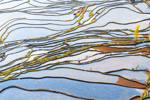 terraced field landscape in spring Stock Photo by chuyu2014 | PhotoDune