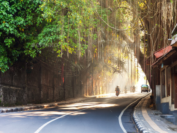 Curving street through Ubud town, Bali, Indonesia Stock Photo by markusgann