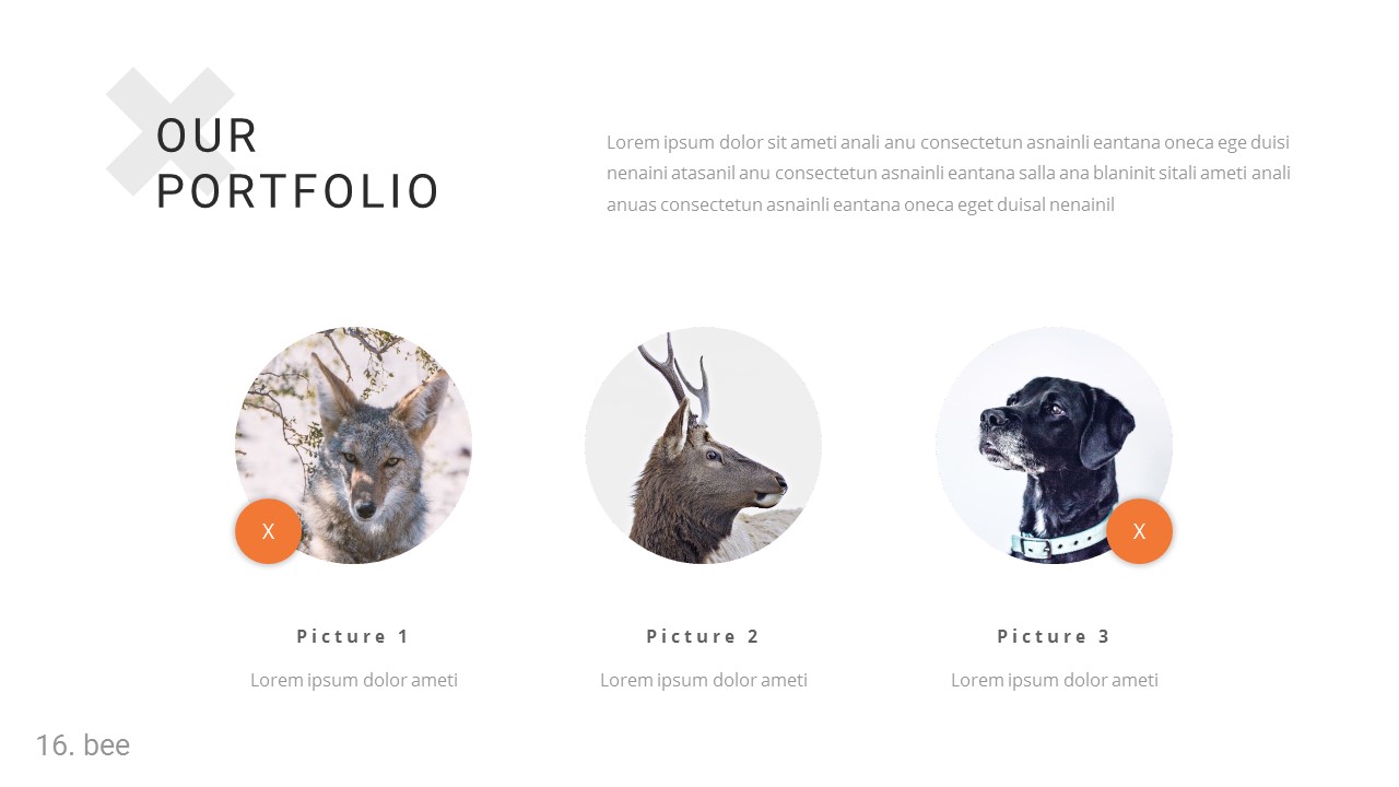 Bee - Animal & Pet Services Google Slides Template, Presentation Templates