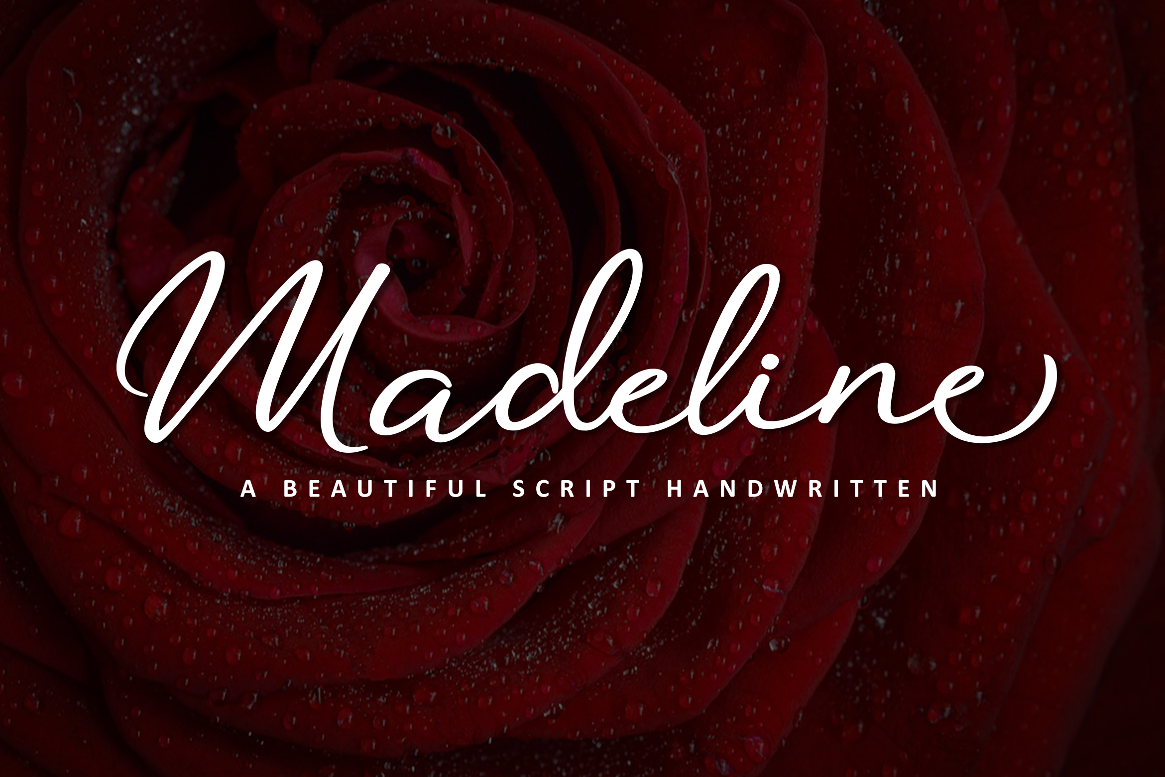 Madeline, Fonts | GraphicRiver
