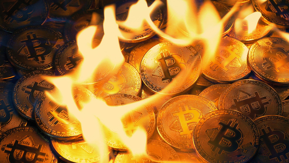 Bitcoins Burning In Fire - Value Concept, Stock Footage | VideoHive