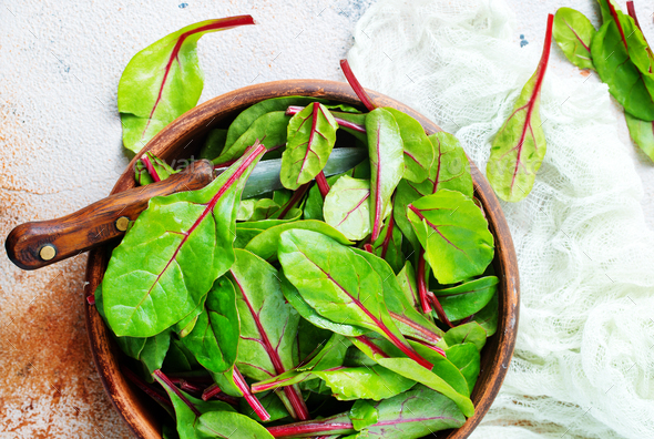 mangold Stock Photo by tycoon101 | PhotoDune