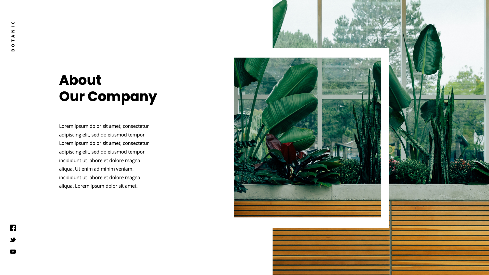 Green Plantation - Botanic & Tropical Google Slides Template ...