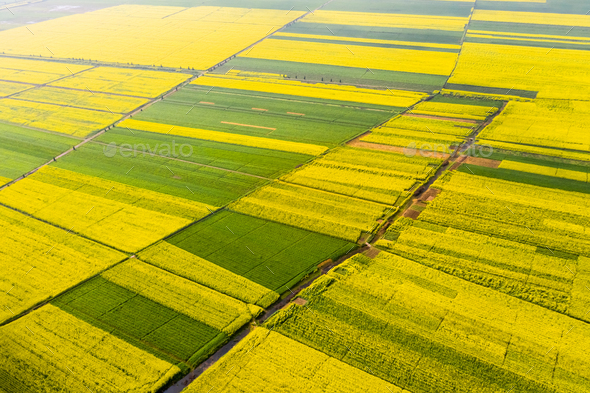 color of farmland in spring Stock Photo by chuyu2014 | PhotoDune