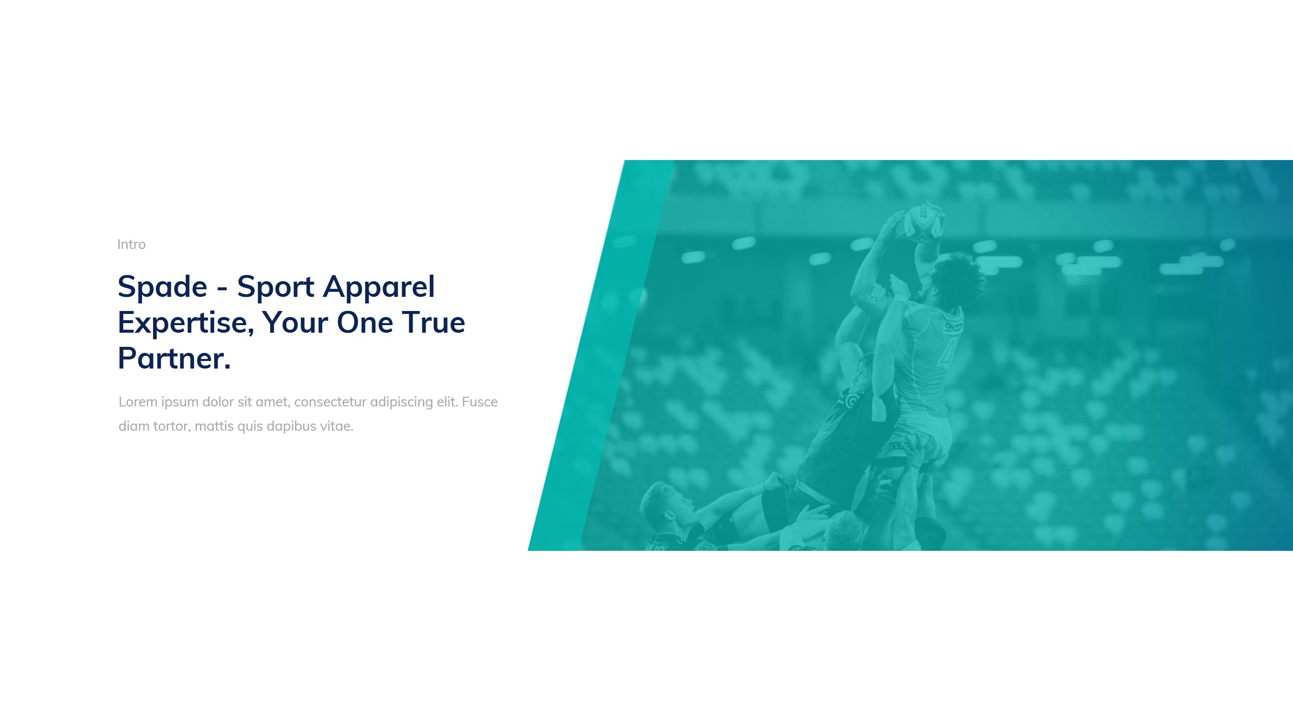 Spade Powerpoint Presentation, Presentation Templates | GraphicRiver