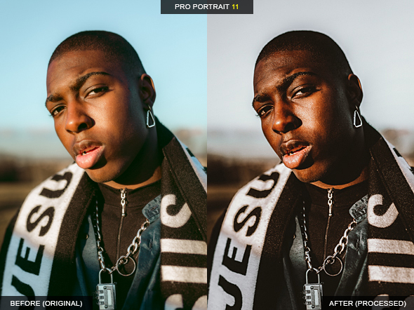 12 Pro Portrait + VSCO Lightroom Presets, Add-ons | GraphicRiver