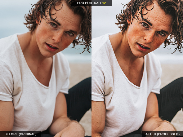 12 Pro Portrait + VSCO Lightroom Presets, Add-ons | GraphicRiver