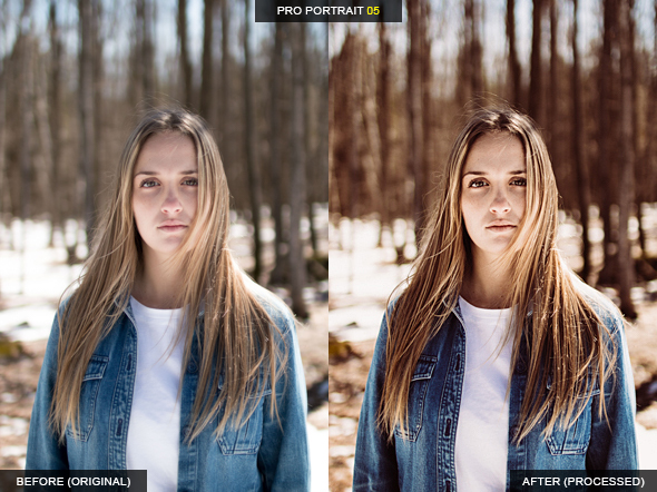 12 Pro Portrait + VSCO Lightroom Presets, Add-ons | GraphicRiver