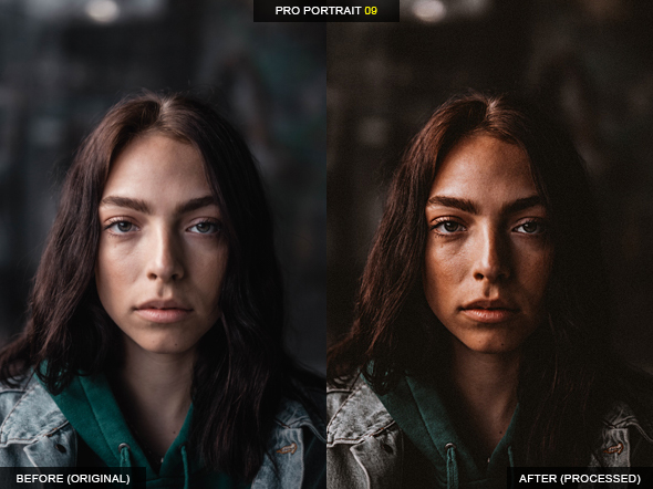 12 Pro Portrait + VSCO Lightroom Presets, Add-ons | GraphicRiver