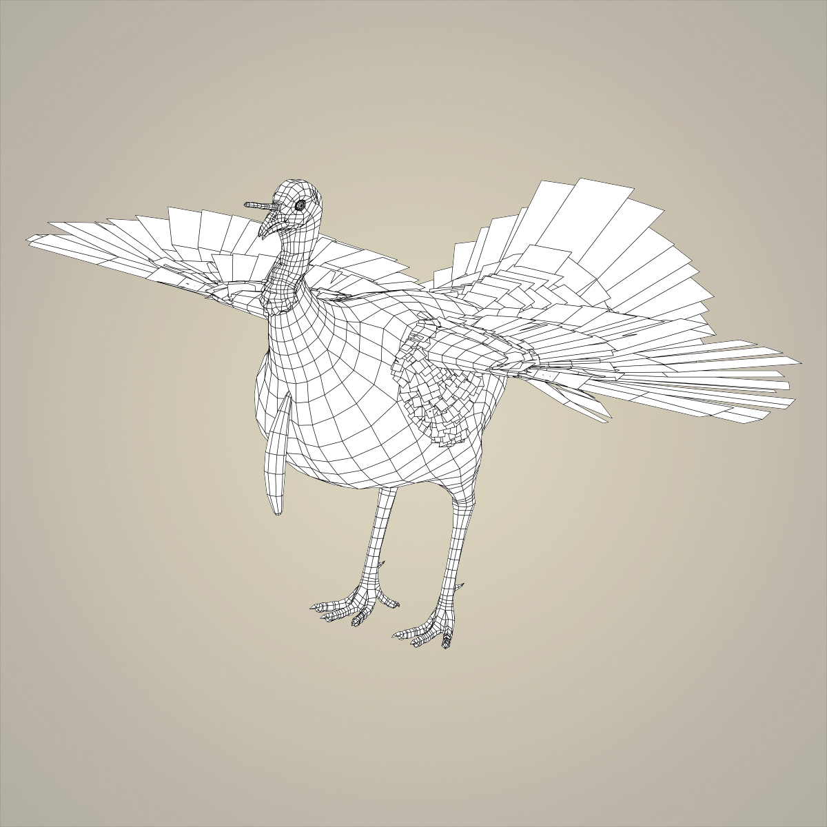 Realistic Turkey Bird by 3darcmall | 3DOcean