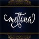 Mettona, Fonts | GraphicRiver