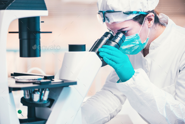 Microbiology, technician working with bacteria strains Stock Photo by ...