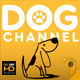Dog Channel Broadcast Pack, After Effects Project Files | VideoHive