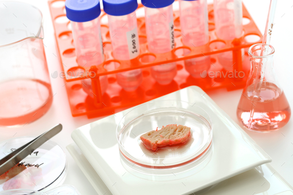 cultured meat making image, lab grown meat concept Stock Photo by motghnit