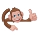 Monkey Cartoon Animal Pointing Thumbs Up Sign, Vectors | GraphicRiver