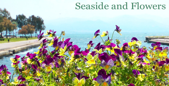 Seaside And Flowers, Stock Footage | VideoHive