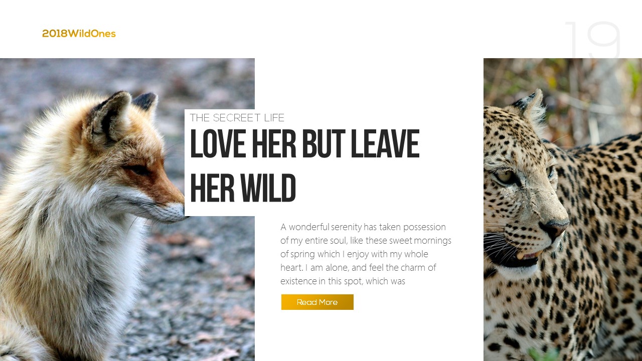 Wildones Nature & Wildlife PowerPoint Template, Presentation Templates