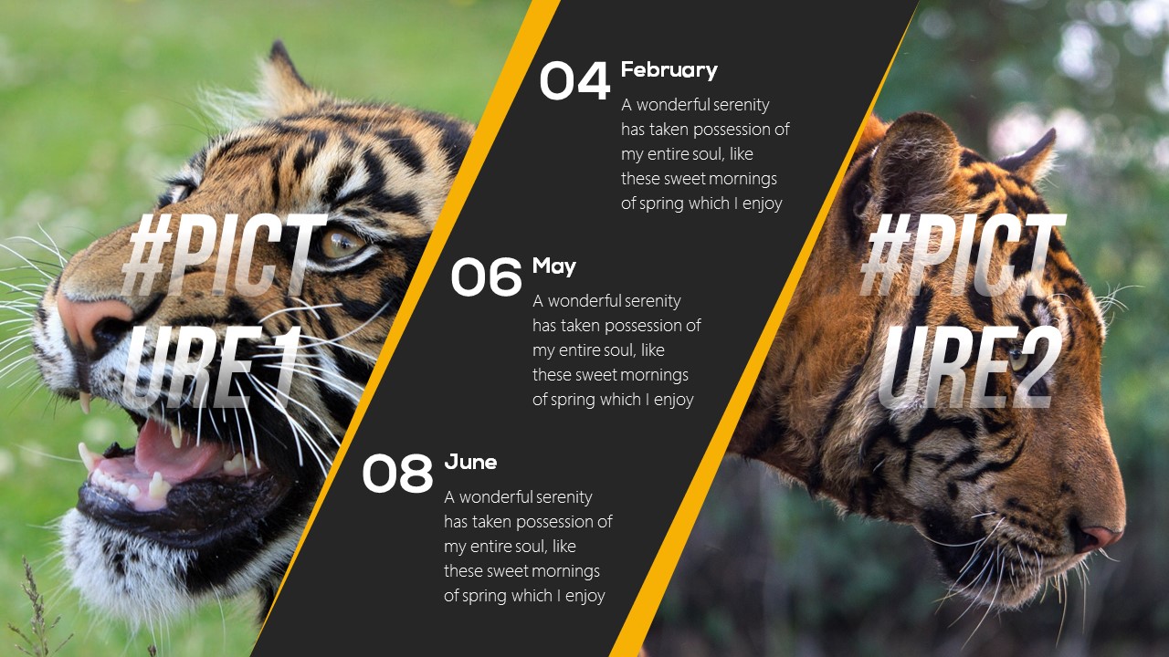 Wildones Nature & Wildlife PowerPoint Template, Presentation Templates