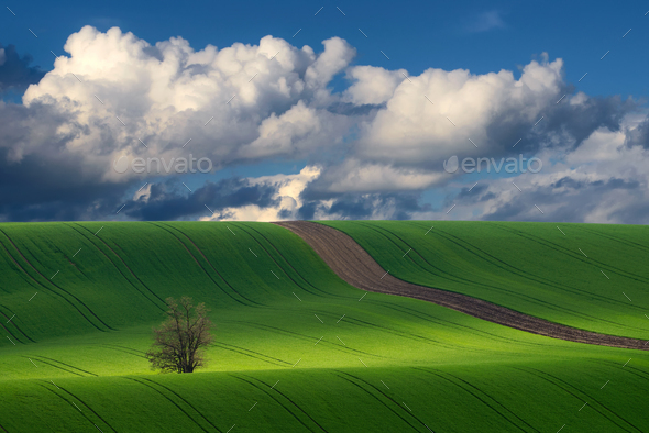 Detail of South Moravian field. Colorful hill in Czech landscape during ...