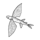 Flying Fish Sketch Engraving Vector Illustration, Vectors | GraphicRiver
