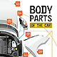 Body Parts of the Car, Vectors | GraphicRiver