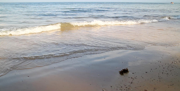 Beach, Wave and Seaweed II, Stock Footage | VideoHive