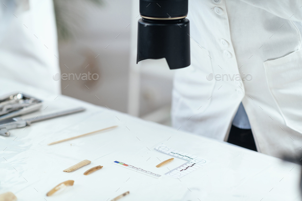 Archaeology Researchers in Laboratory, Documenting Artifacts with ...