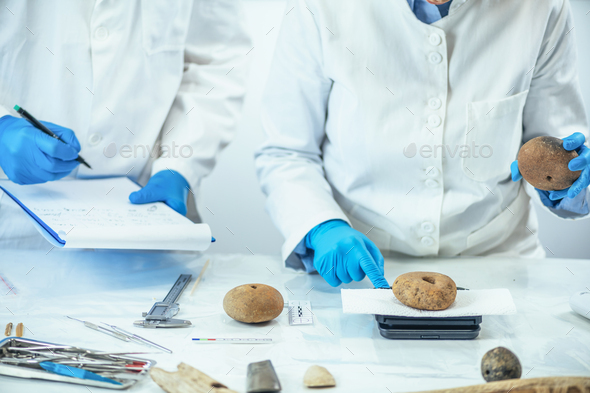 Archaeologist Measuring Prehistoric Weight on a Precision Scale in ...