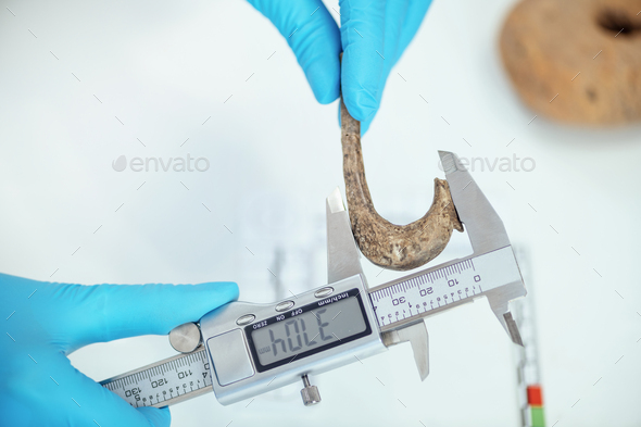 Archaeologist Measuring Ancient Hook with Digital Caliper Stock Photo ...
