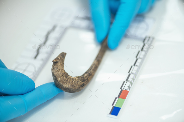 Archaeologist Measuring Ancient Hook Stock Photo by microgen | PhotoDune