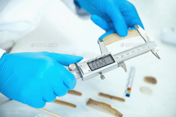 Archaeologist Measuring Lithics with Caliper in Laboratory Stock Photo ...