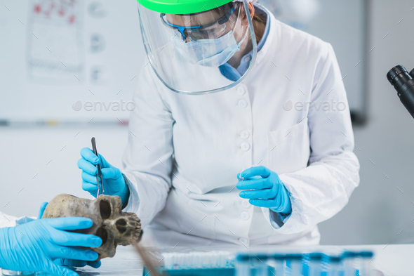 Bioarcheology. Archaeologist Analyzing Ancient Human Skull in ...