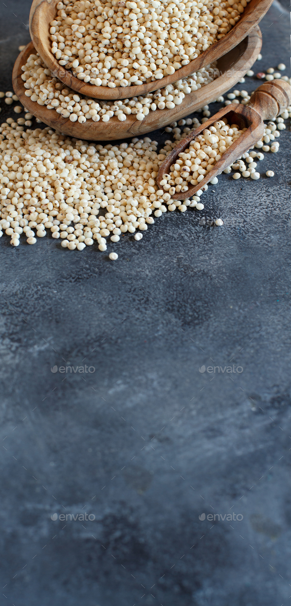 Raw White Sorghum grain Stock Photo by katrinshine | PhotoDune